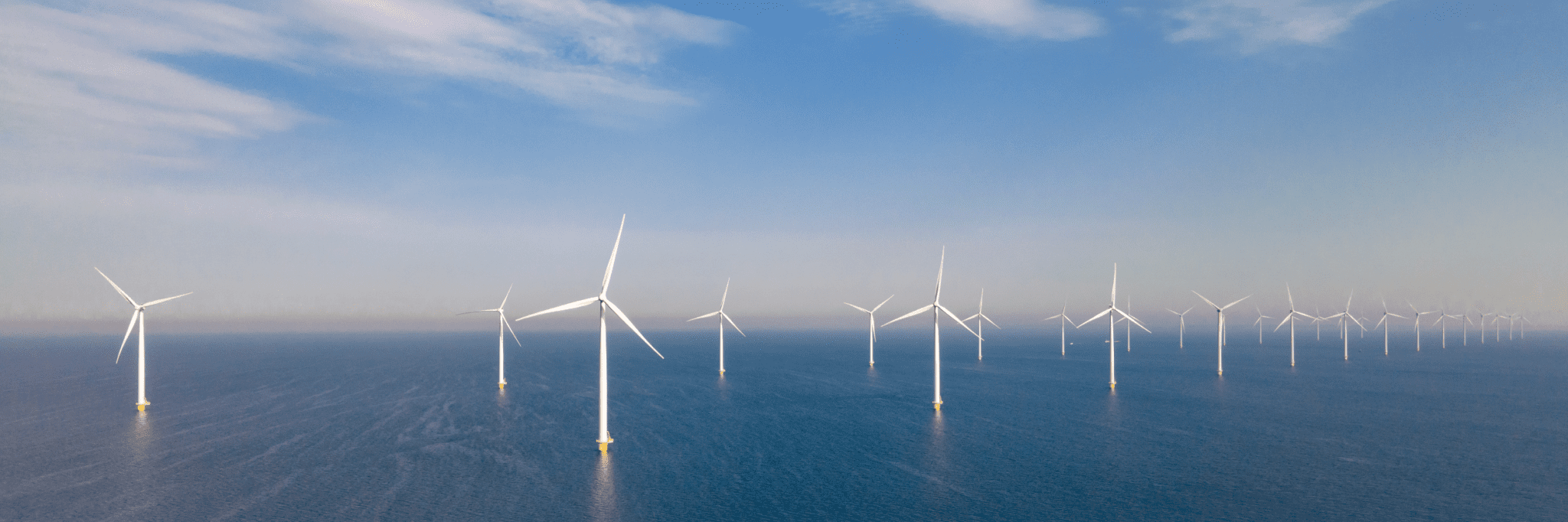 Mabanaft: sustainability through carbon offset projects | Fuel Oil News