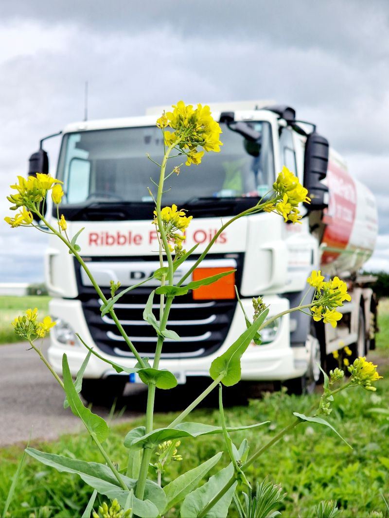 In conversation with Dave Walmsley: enthusiastic for NWF Fuels ...