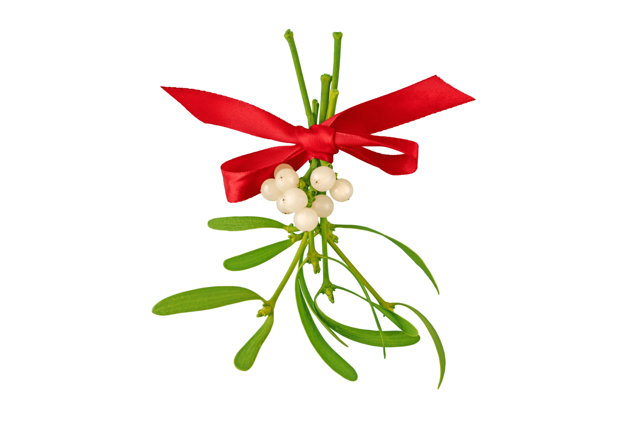 Ken’s Corner: Here Comes the Sun? | Fuel Oil News